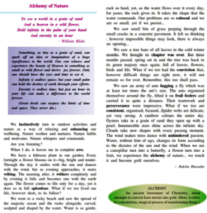 The Alchemy of Nature: Reading for Meaning | Sharon English School
